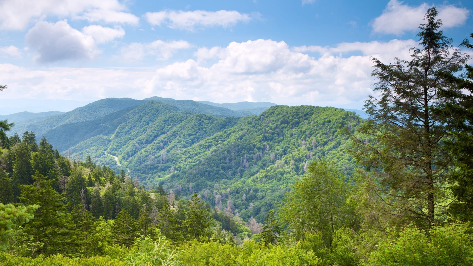 Scenic Drives | Western White Mountain Chamber