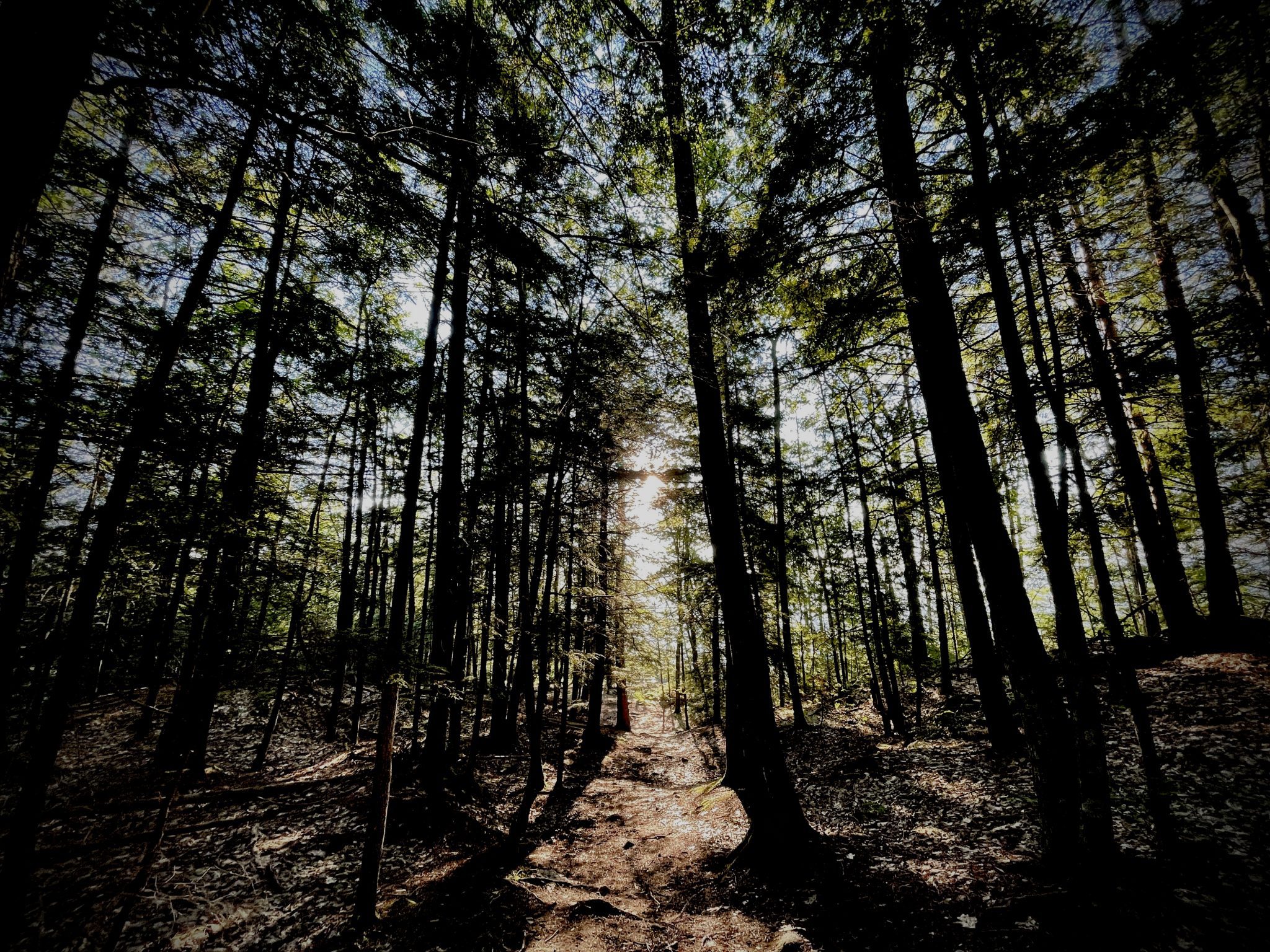 Haunted Hikes and More in the White Mountains | Western White Mountains ...