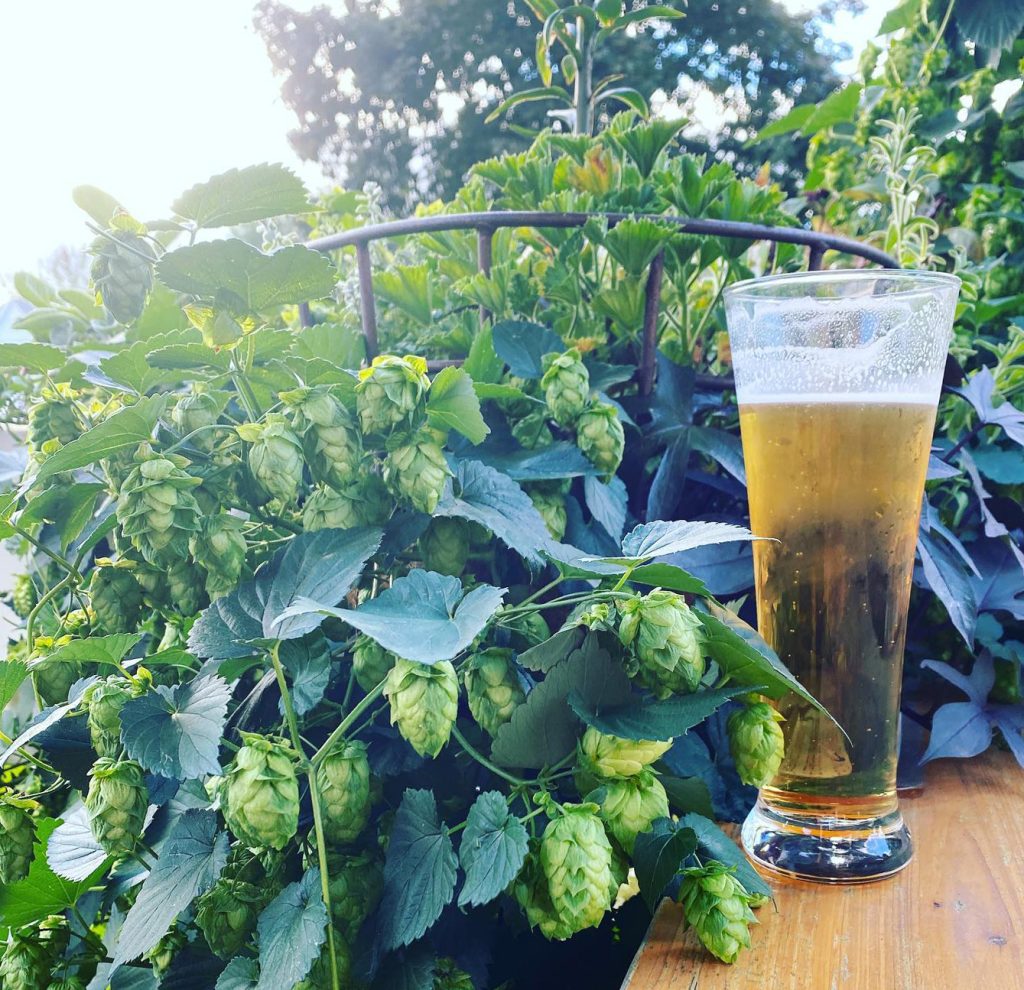 Craft Beverages in the Western White Mountains | Western White Mountain ...