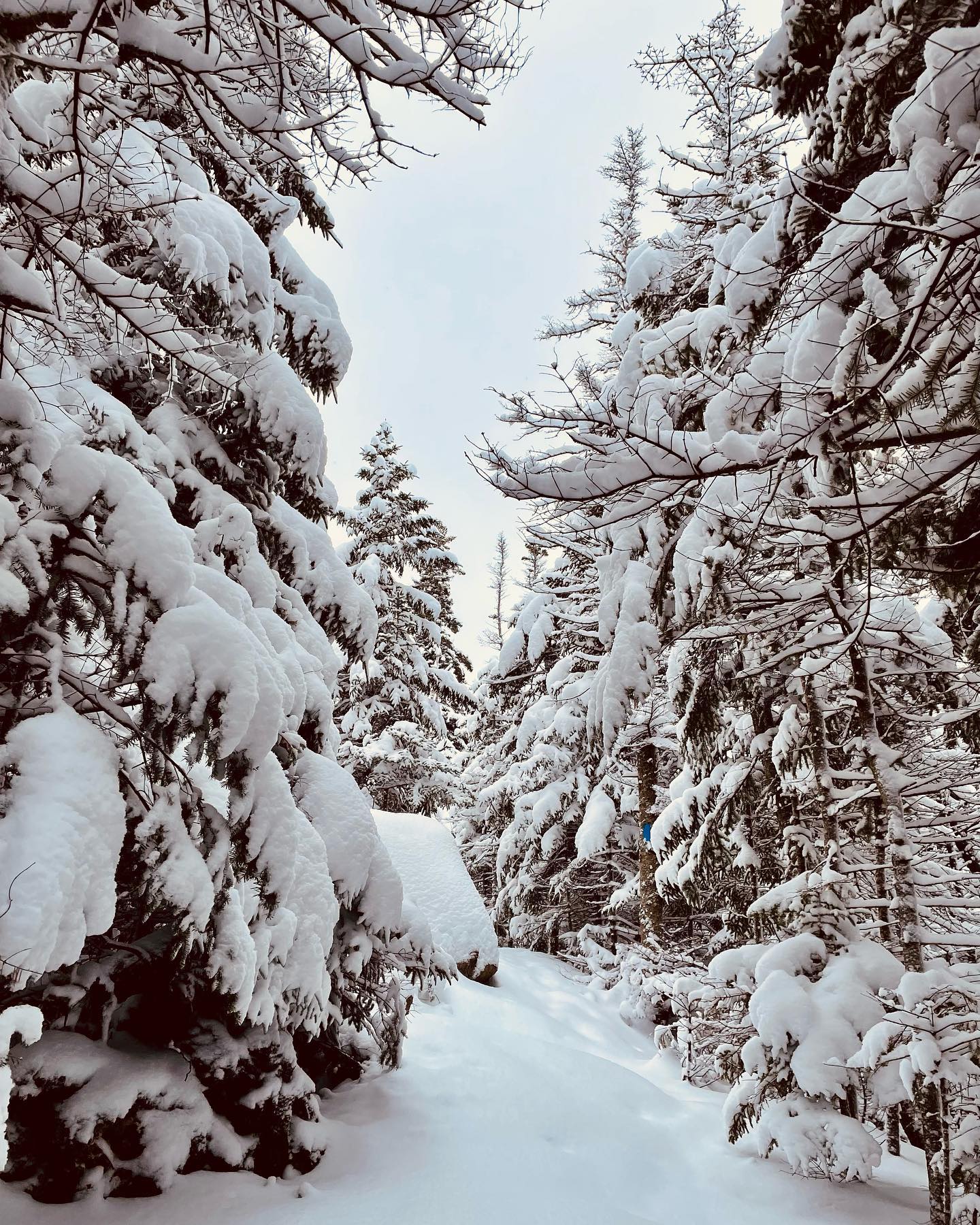 Winter Adventures for Non-Skiers | Western White Mountain Chamber